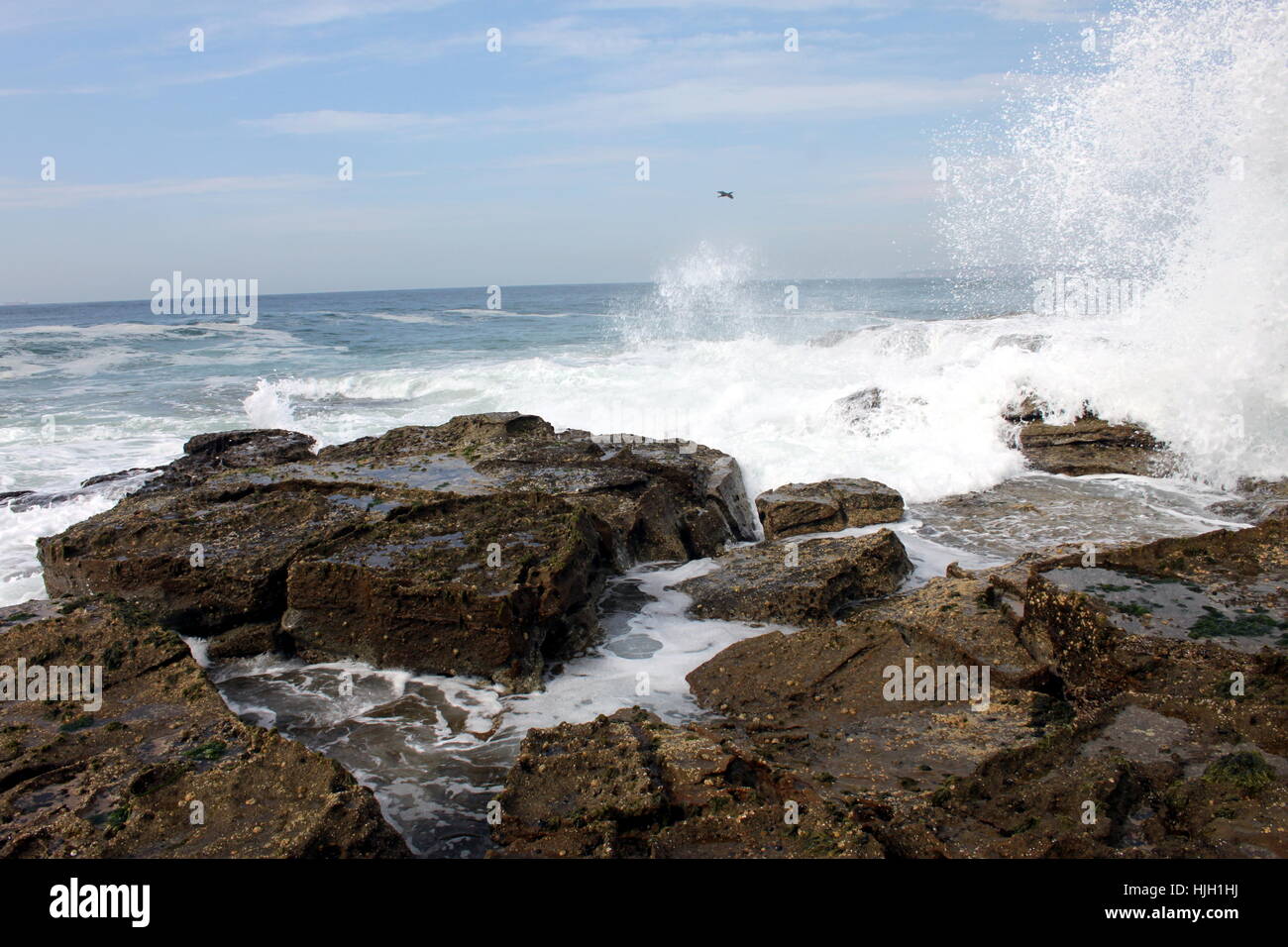 blue, new, beach, seaside, the beach, seashore, waves, energy, power ...