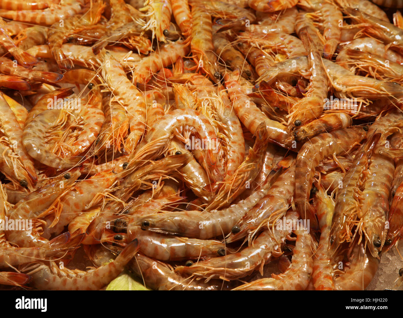 closeup, shrimp, shellfish, seafood, heap, pile, fresh, market, big ...