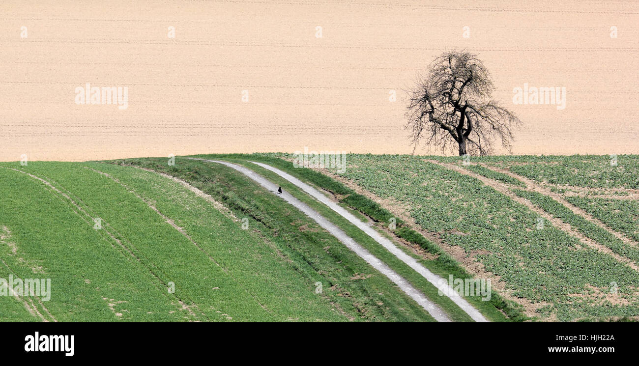 landscape with tree Stock Photo - Alamy