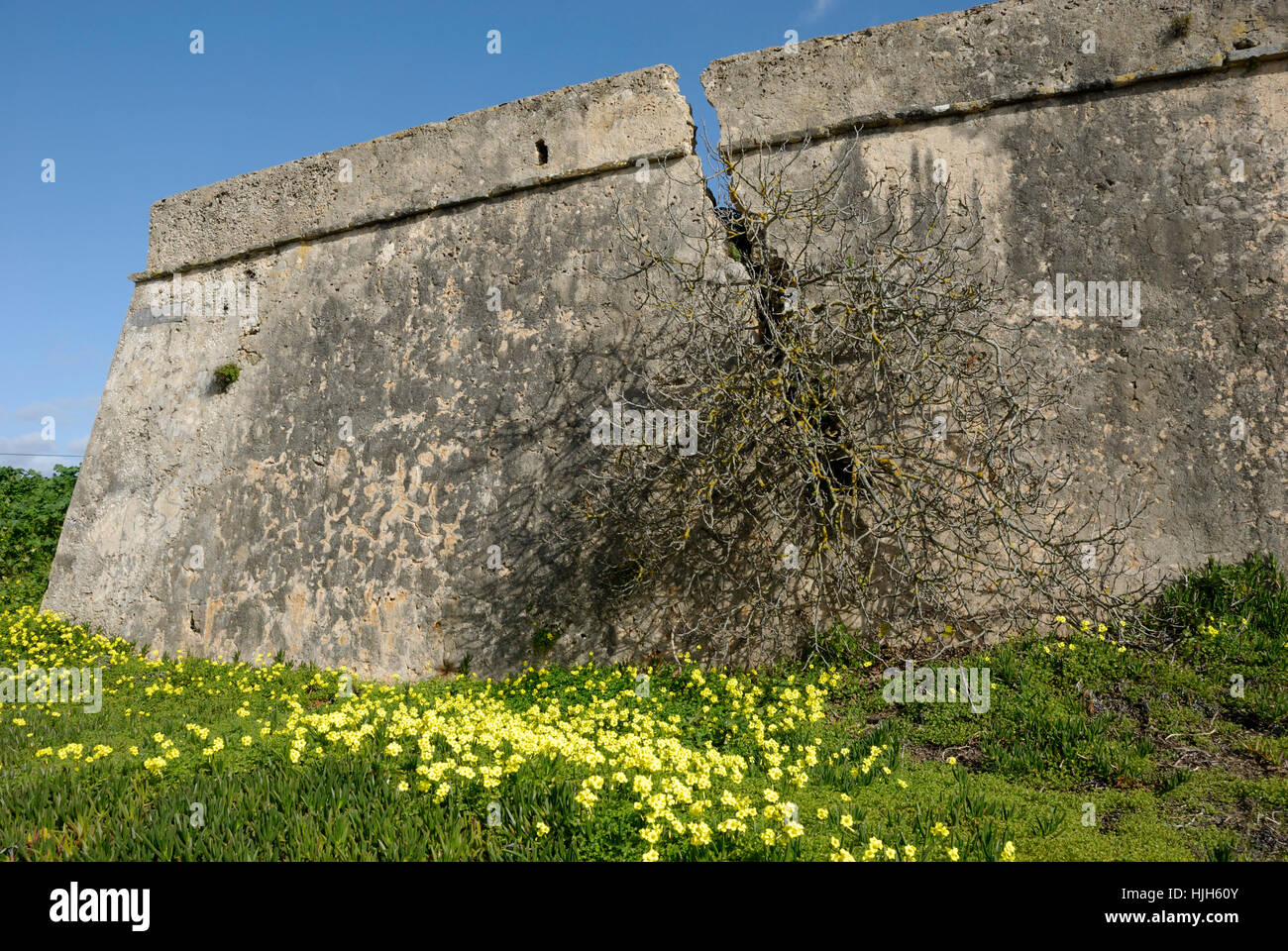 wall, fortress, blockhouse, stonewall, blue, tree, shine, shines ...