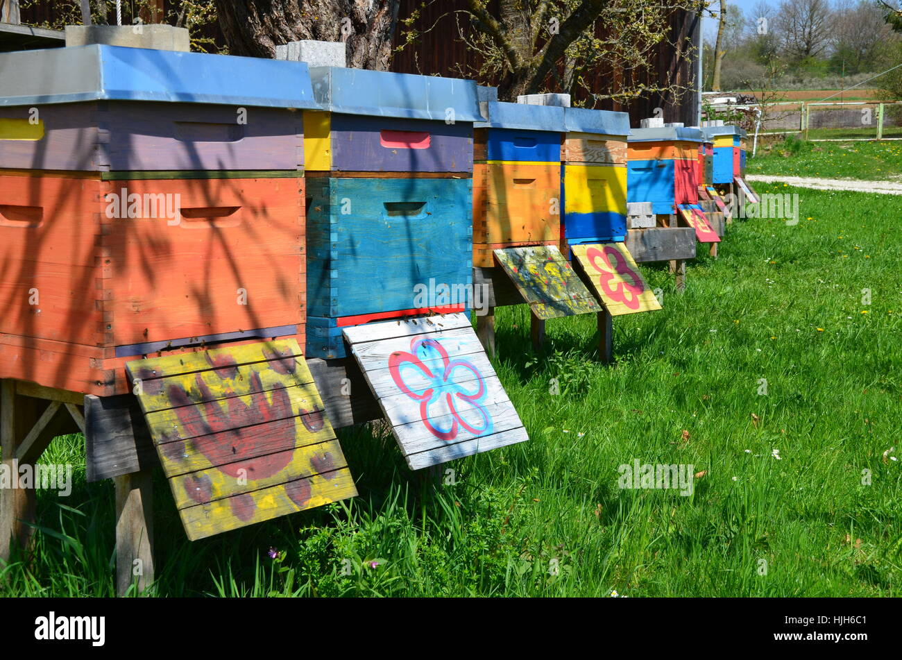 green, coloured, colourful, gorgeous, multifarious, richly coloured ...
