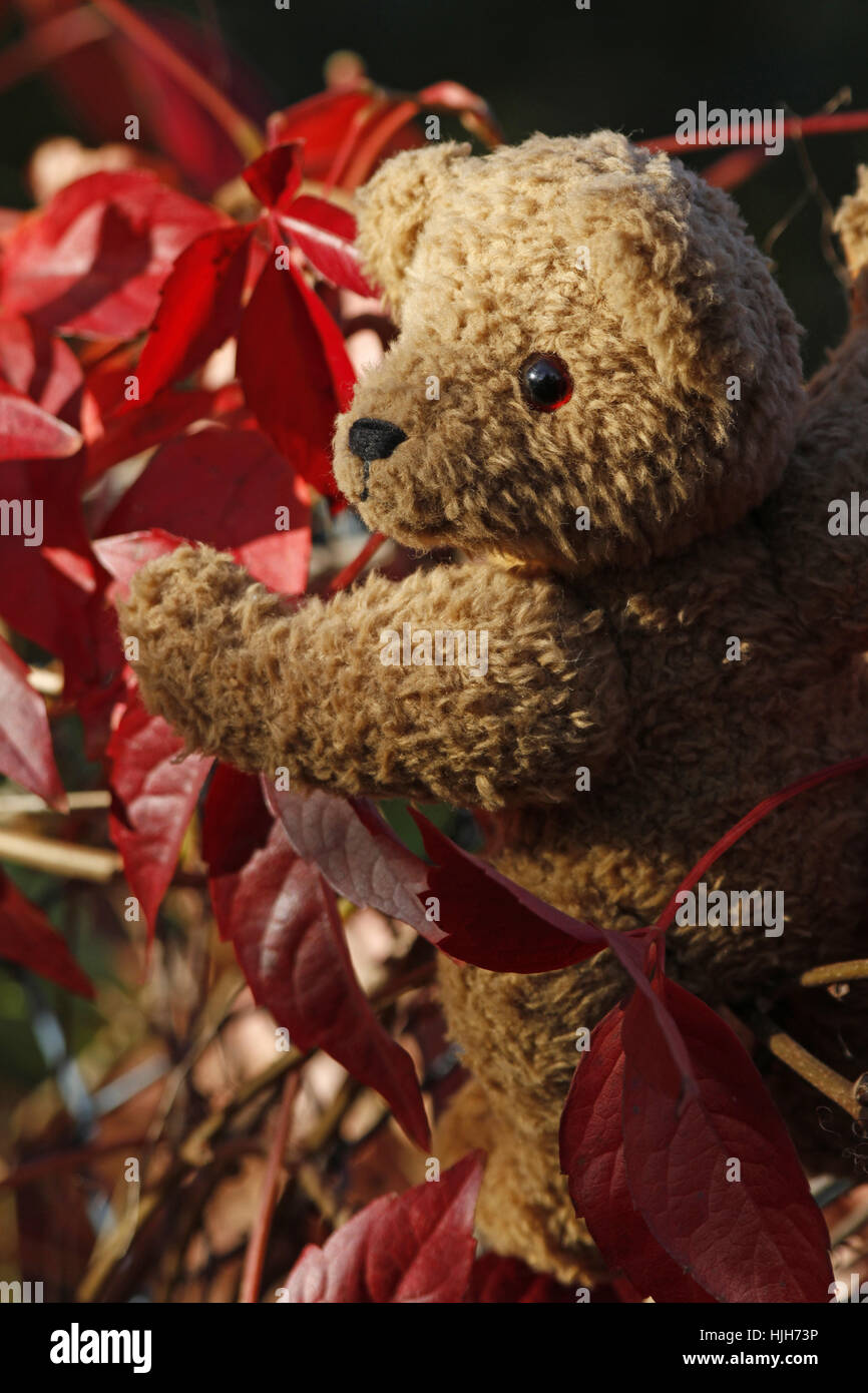 toy, teddy, teddy bear, teddybear, comforter, pictogram, symbol ...