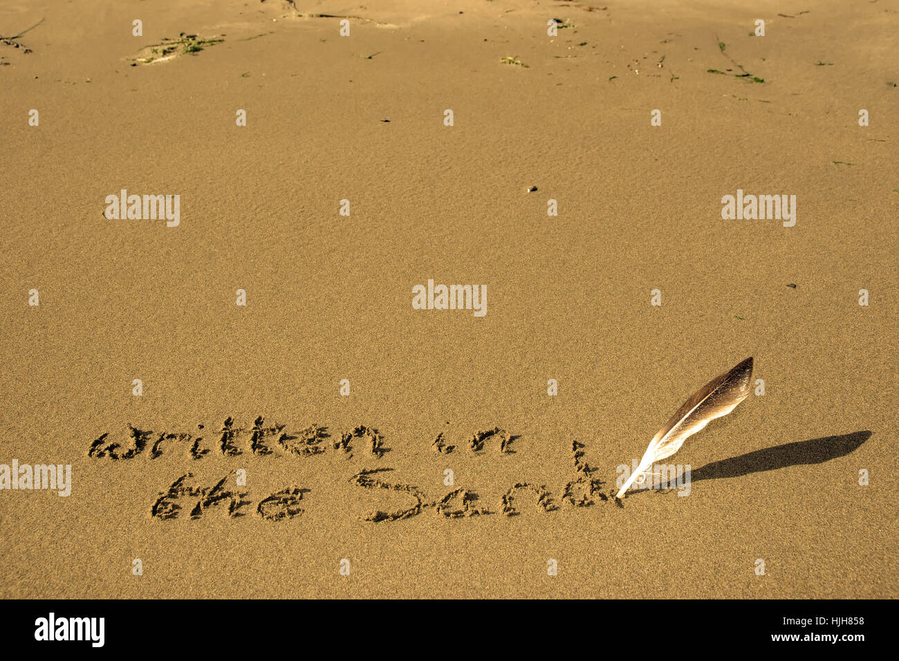 write, wrote, writing, writes, beach, seaside, the beach, seashore ...