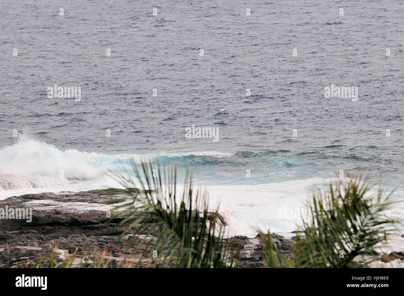 beach, seaside, the beach, seashore, waves, rock, spray, undulate, salt ...