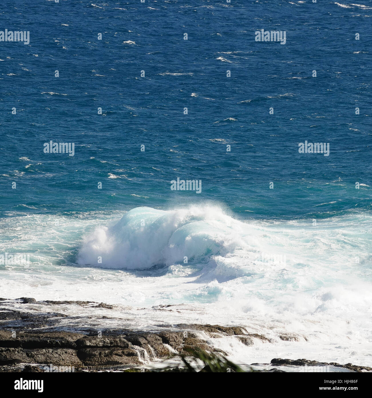 beach, seaside, the beach, seashore, waves, rock, spray, undulate, salt ...