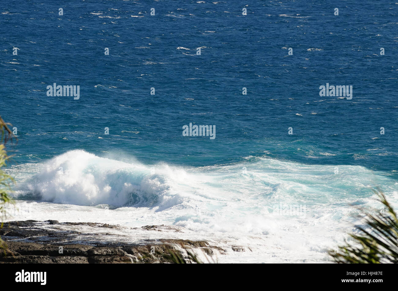 beach, seaside, the beach, seashore, waves, rock, spray, undulate, salt ...