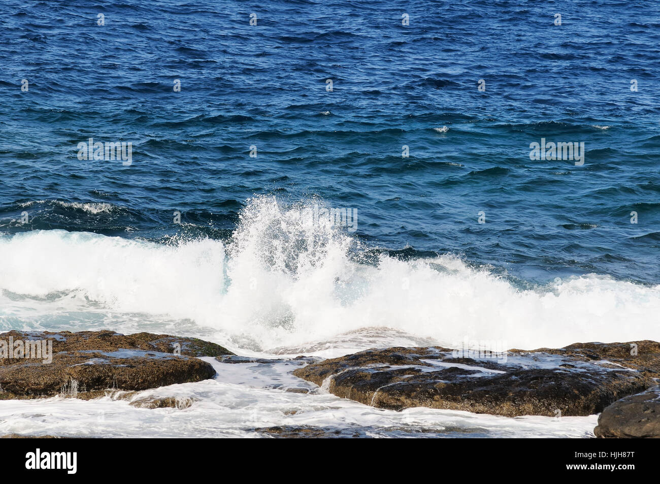beach, seaside, the beach, seashore, waves, rock, spray, undulate, salt ...