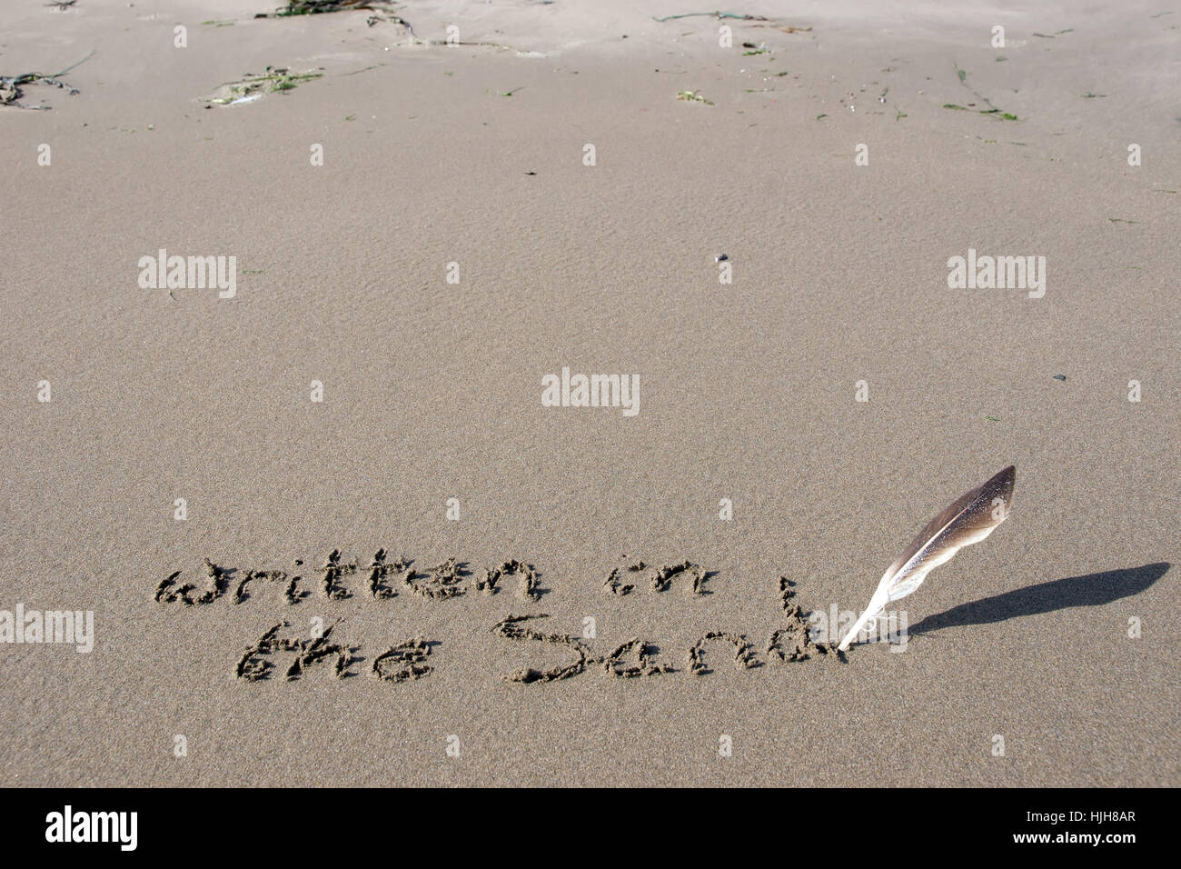 write, wrote, writing, writes, beach, seaside, the beach, seashore ...