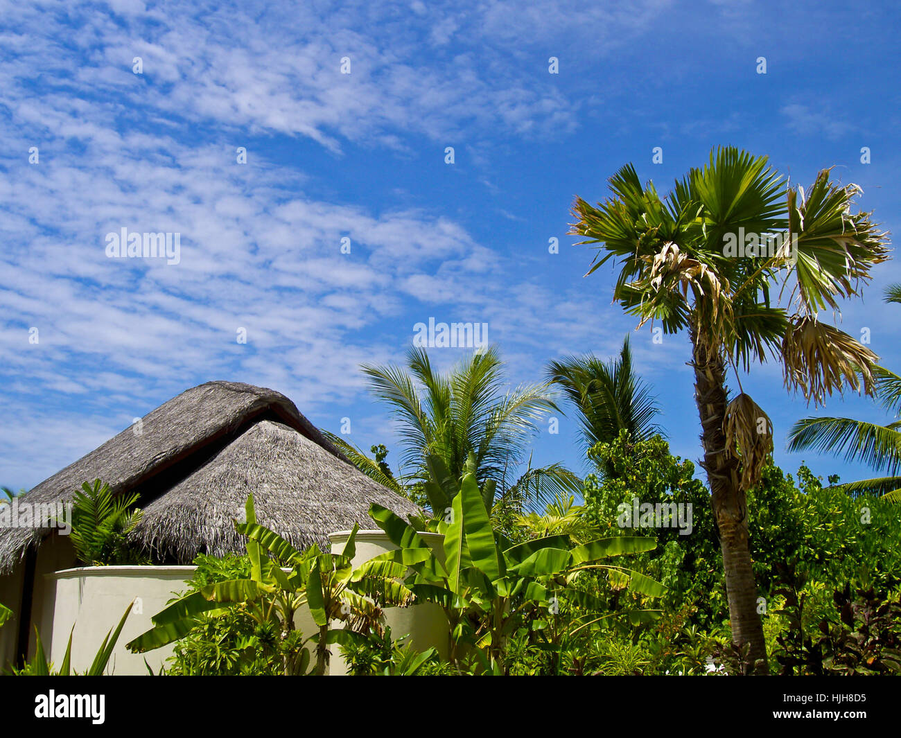 blue, house, building, beautiful, beauteously, nice, travel, tree ...
