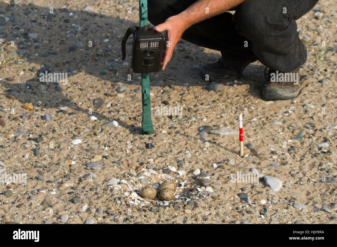 Fixed point hi-res stock photography and images - Alamy