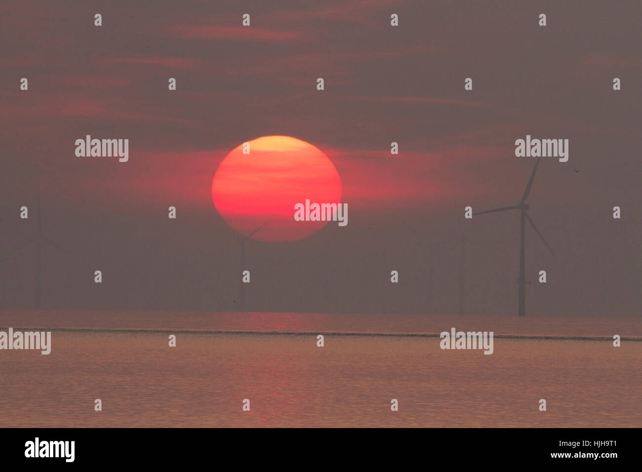 Setting sun with wind turbine over sea Stock Photo - Alamy