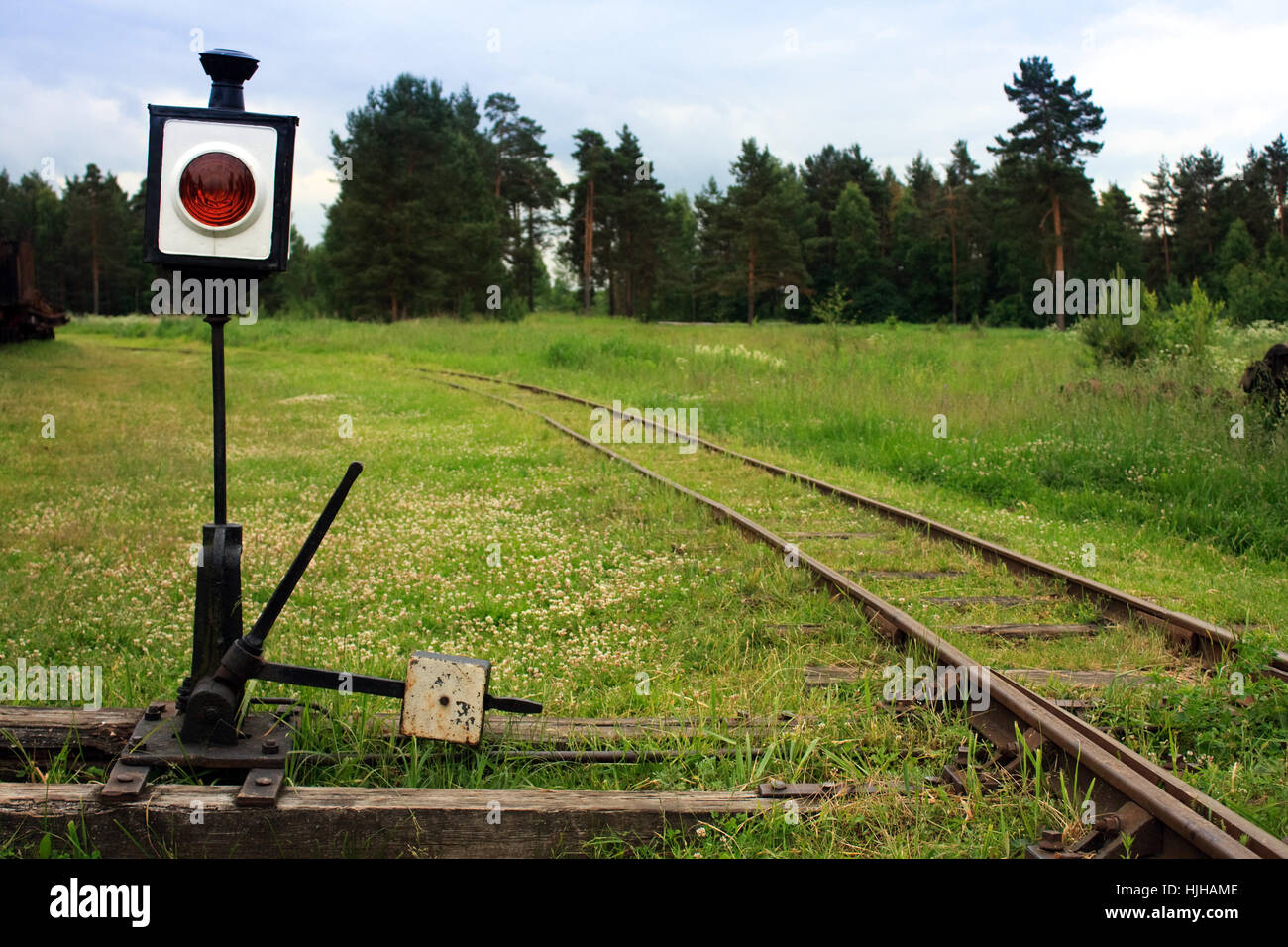 sign, signal, blue, tree, trees, traffic, transportation, cloud, rail ...