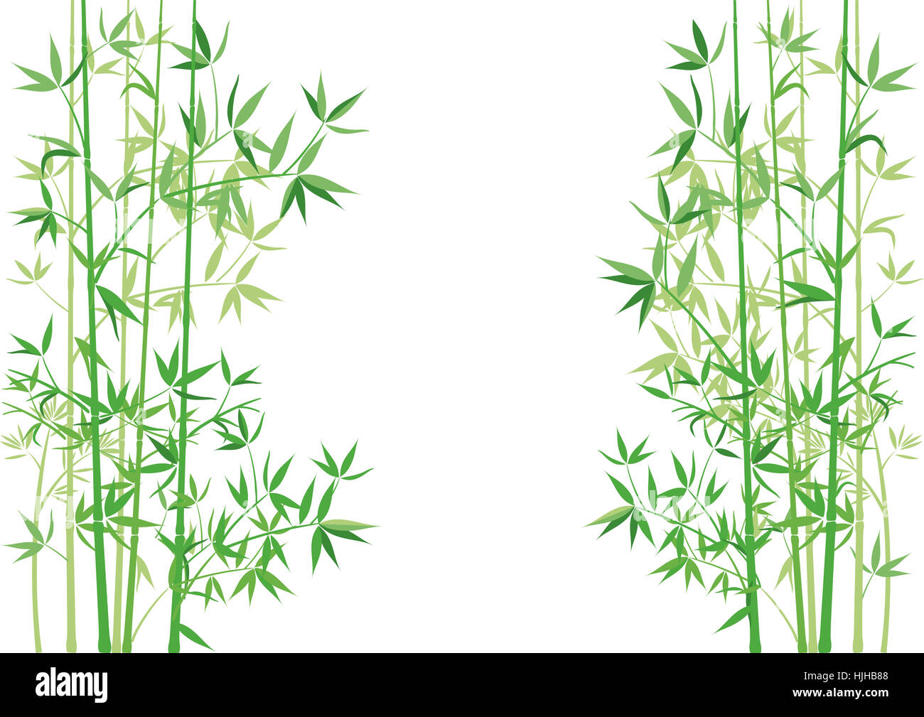 environment, enviroment, garden, green, asia, botany, freshness ...