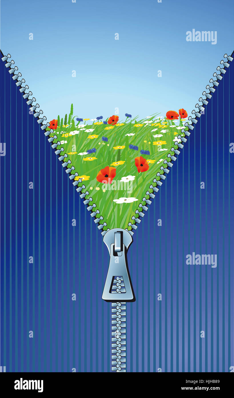 close, environment, enviroment, holiday, garden, plant, vacation ...