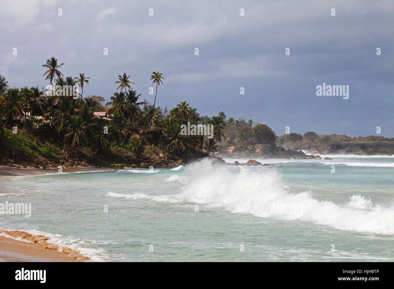 Mt irvine bay hi-res stock photography and images - Alamy