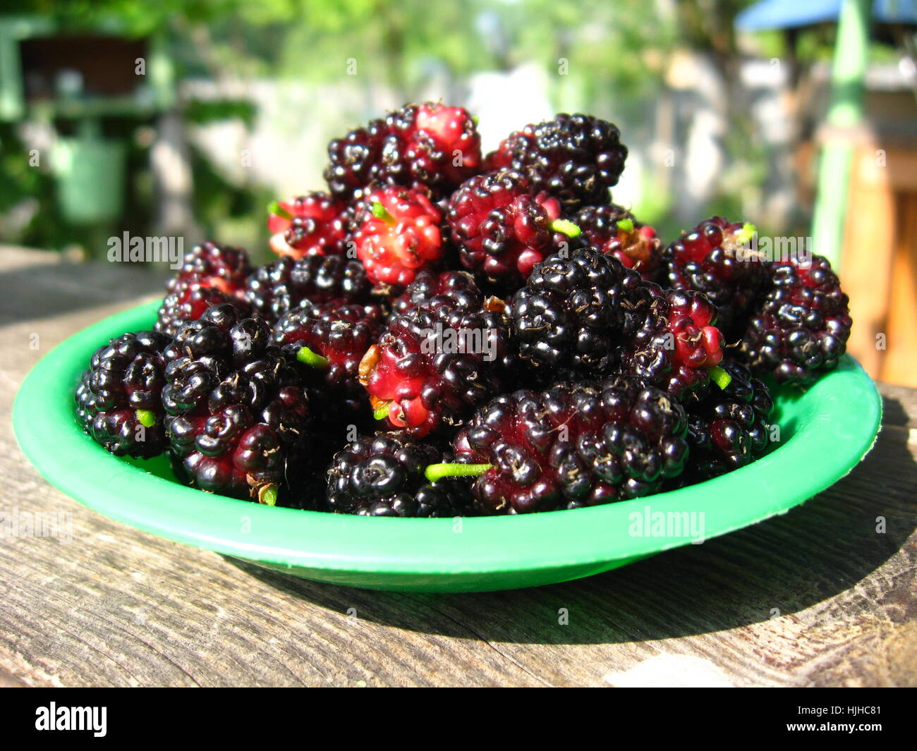 tree, fruit, plate, juicy, berry, multiple, cluster, mulberry, close ...