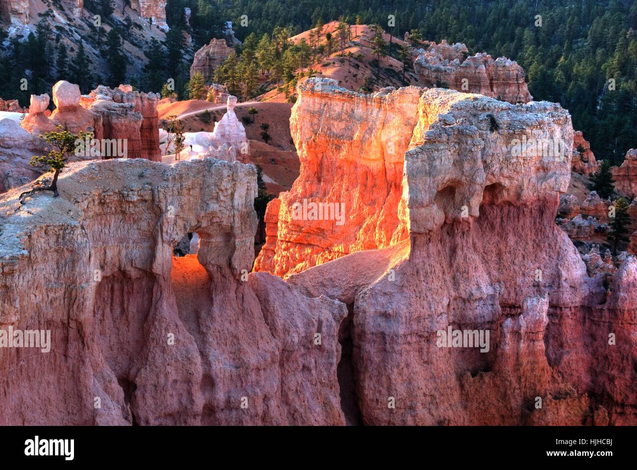 bryce canyon 1 Stock Photo - Alamy