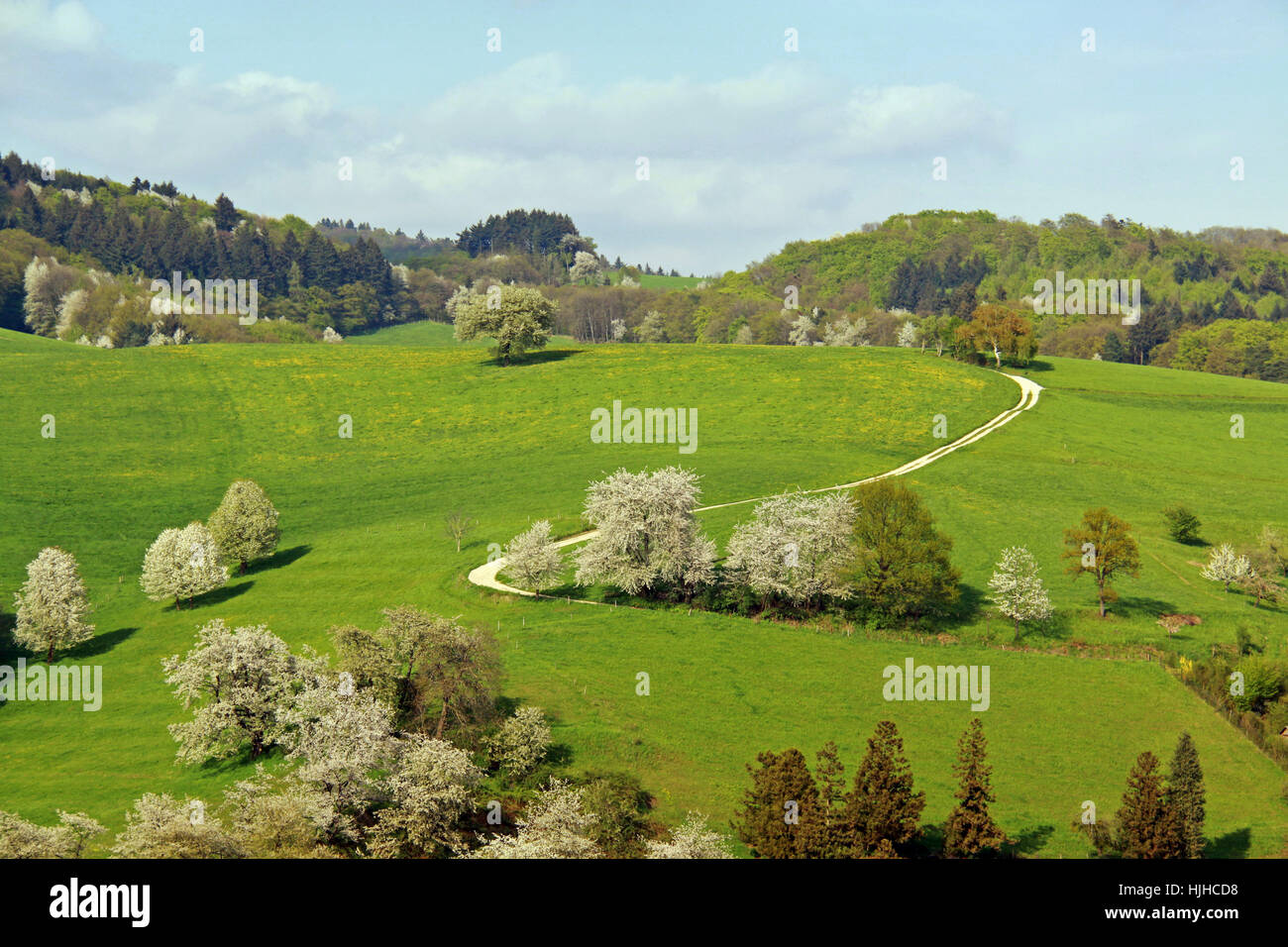 Habitat corridor hi-res stock photography and images - Alamy