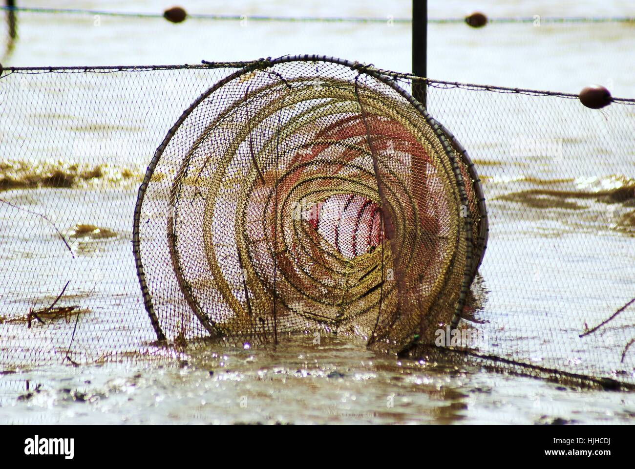 Fischfangtechniken hi-res stock photography and images - Alamy
