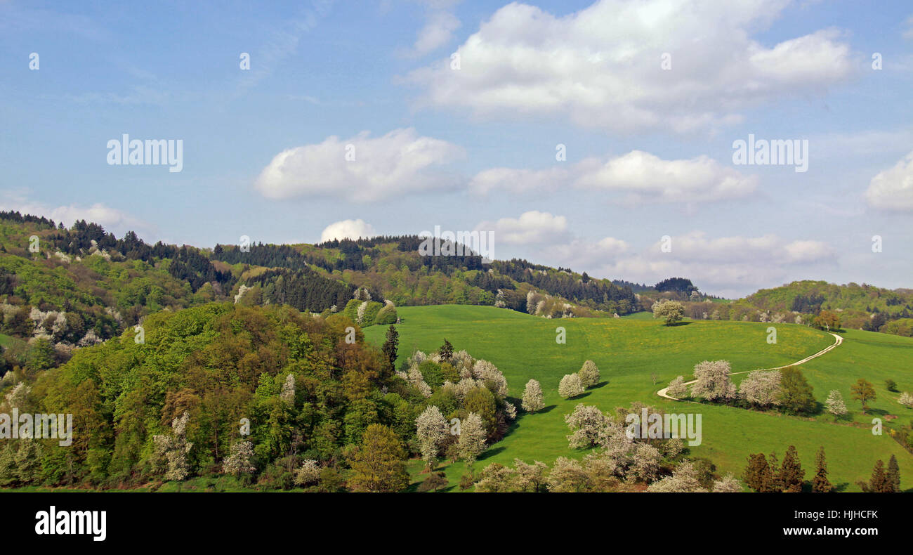 Grnlandhecke hi-res stock photography and images - Alamy