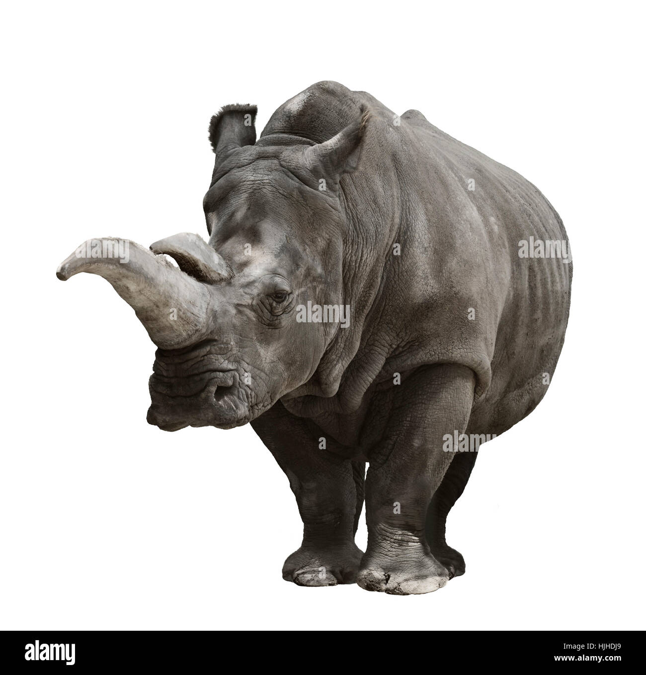 An enormous ditch or henge Cut Out Stock Images & Pictures - Alamy