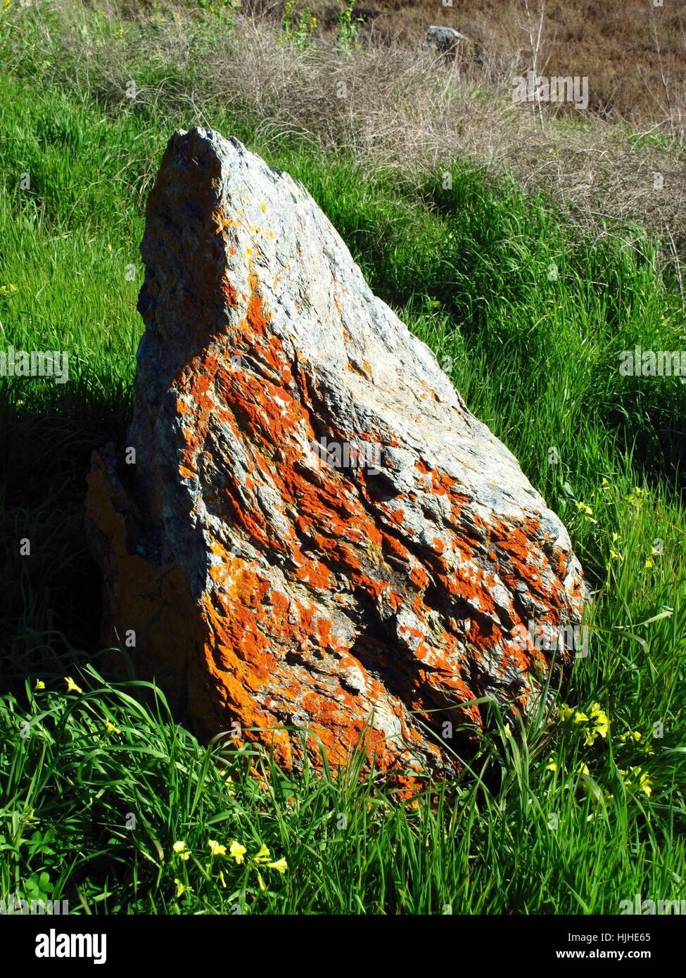 colour, stone, green, rough, flora, rock, solitary, shape, timeless ...