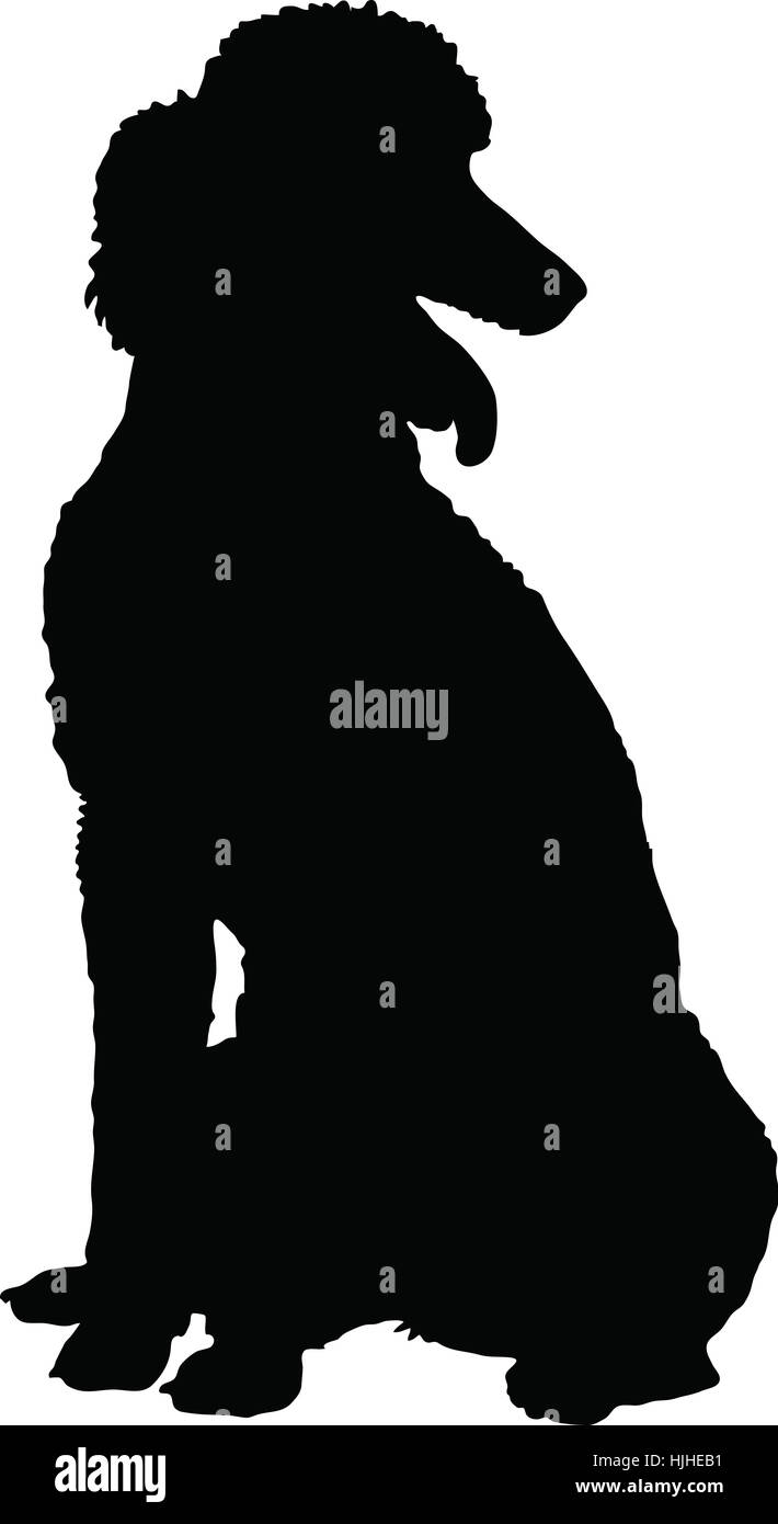 Dog Profile Silhouette Sitting