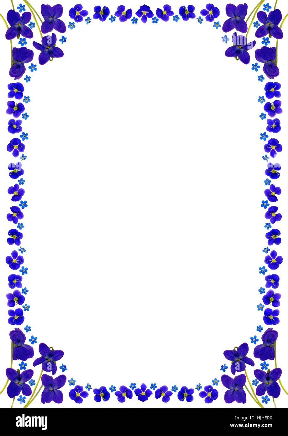 flower, flowers, plant, violet, corner, prize, border, backdrop ...