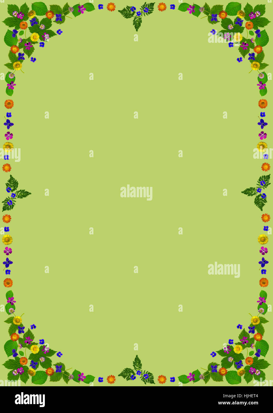 flower, flowers, plant, violet, corner, prize, border, structure, frame ...
