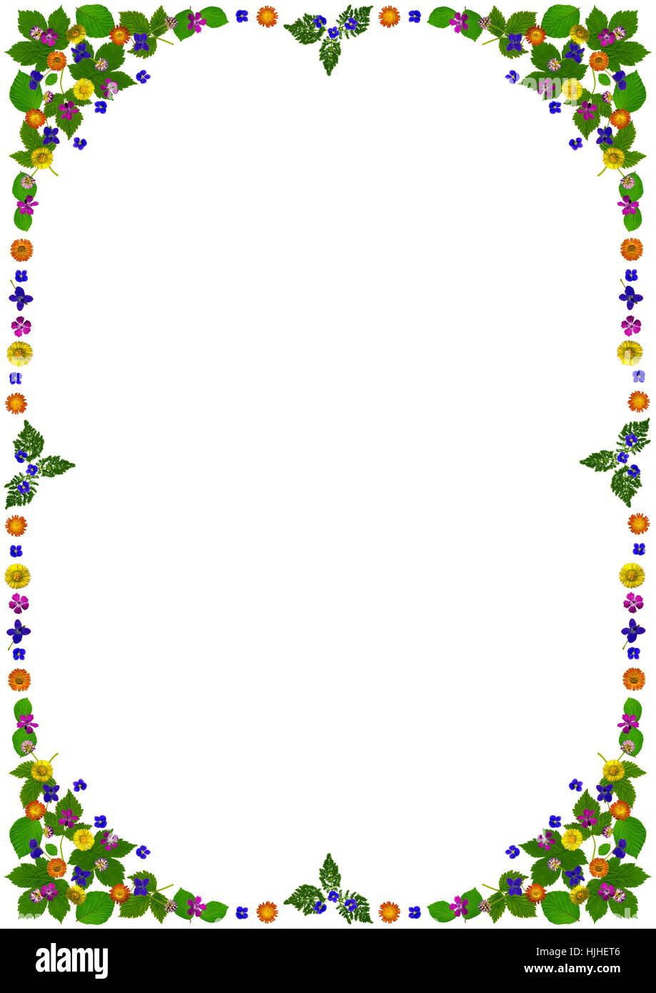 flower, flowers, plant, violet, corner, prize, border, structure, frame ...