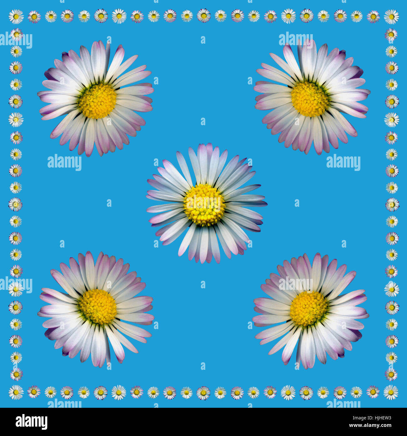 flower, flowers, plant, corner, napkin, structure, frame, framework ...