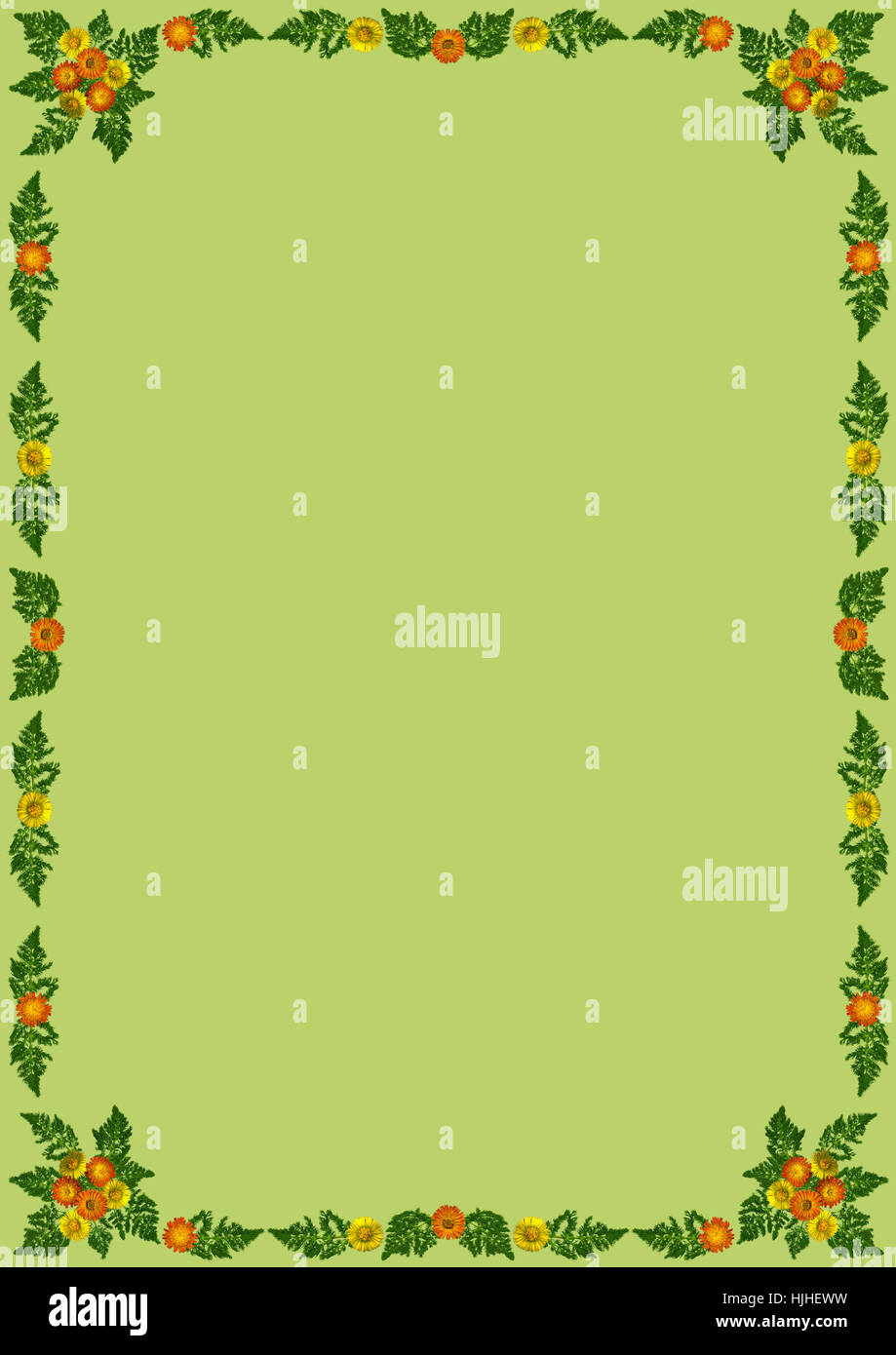leaves, flower, flowers, plant, corner, border, structure, backdrop ...