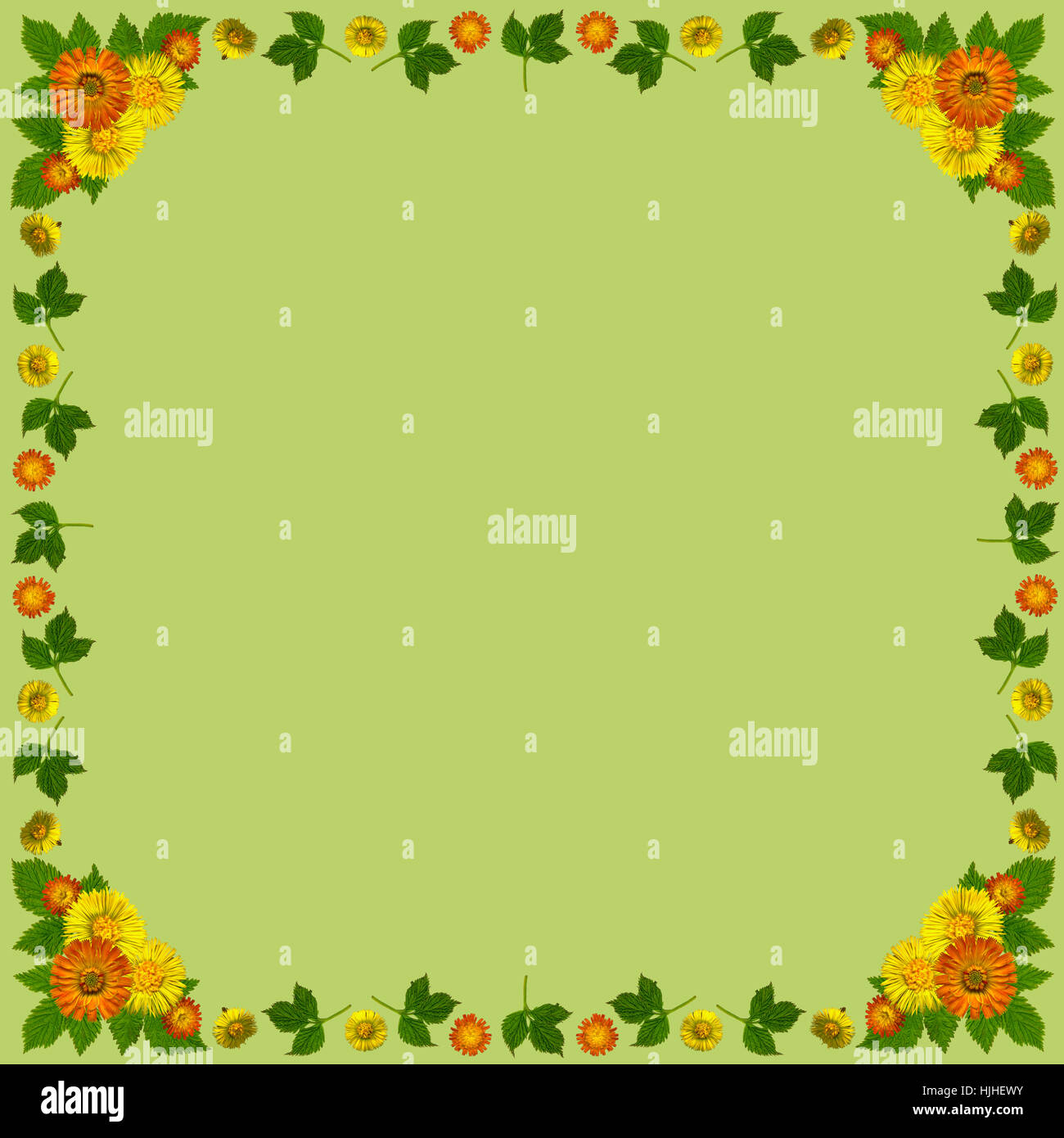 leaves, flower, flowers, plant, corner, border, structure, backdrop ...