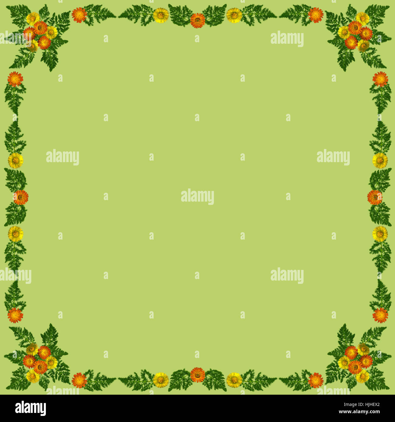 leaves, flower, flowers, plant, corner, border, structure, backdrop ...