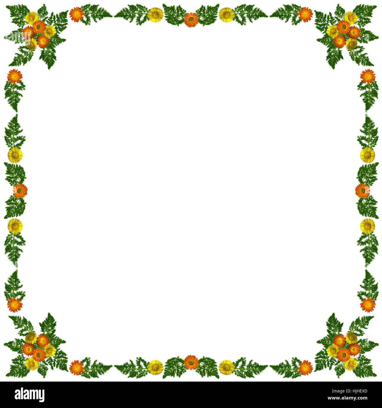 Corner plant hi-res stock photography and images - Alamy