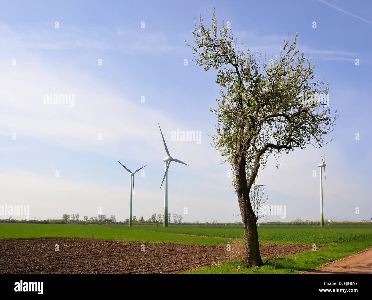 Apple tree with mast hi-res stock photography and images - Alamy