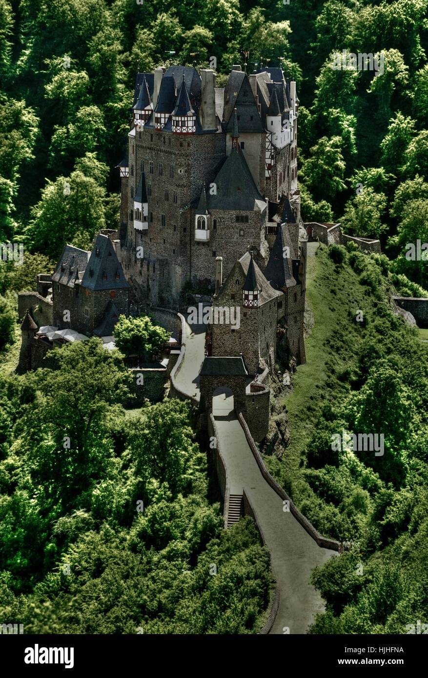 forest, chateau, castle, middle ages, tree, trees, knight, forest ...