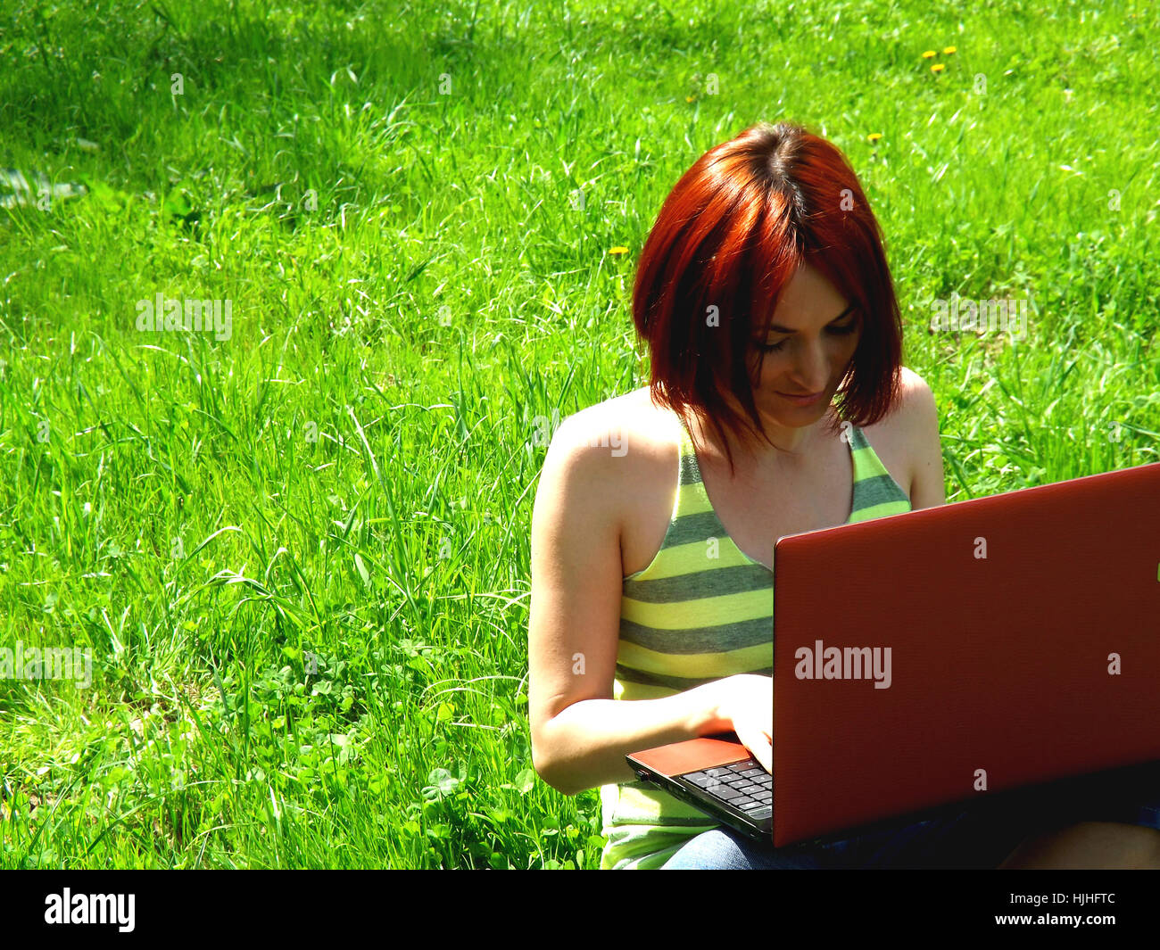 humans, human beings, people, folk, persons, human, human being, laptop ...