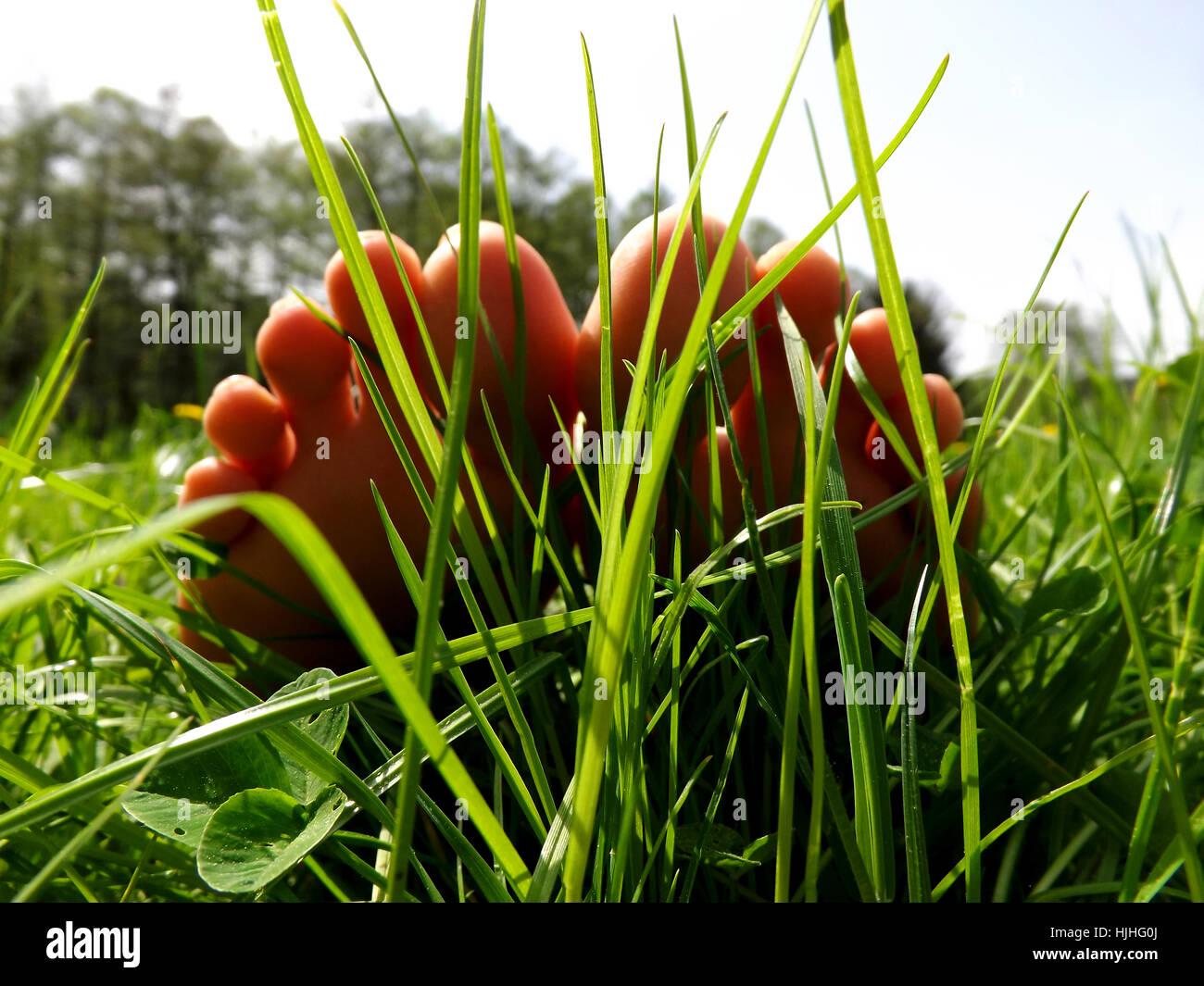 woman, closeup, toe, barefoot, sole, white, woman, humans, human beings ...