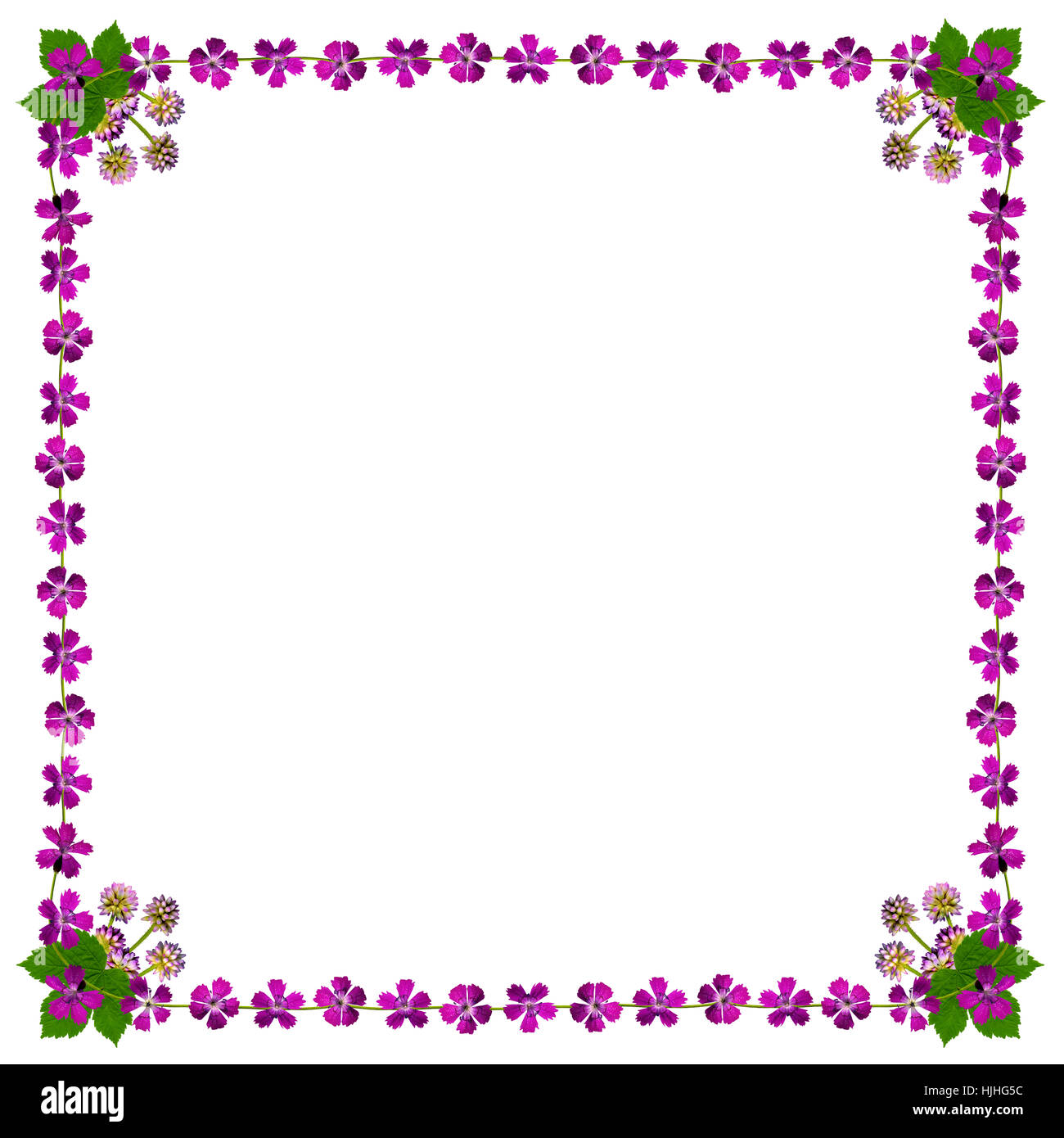 leaves, flower, flowers, plant, corner, border, structure, backdrop ...