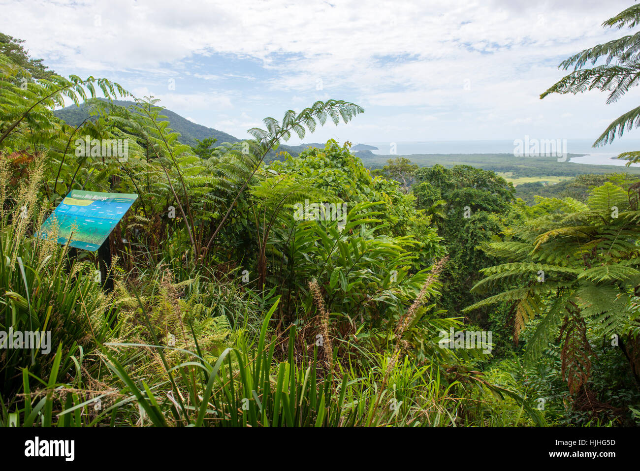View from the Alexandra Lookout in the Daintree, Queensland Australia ...