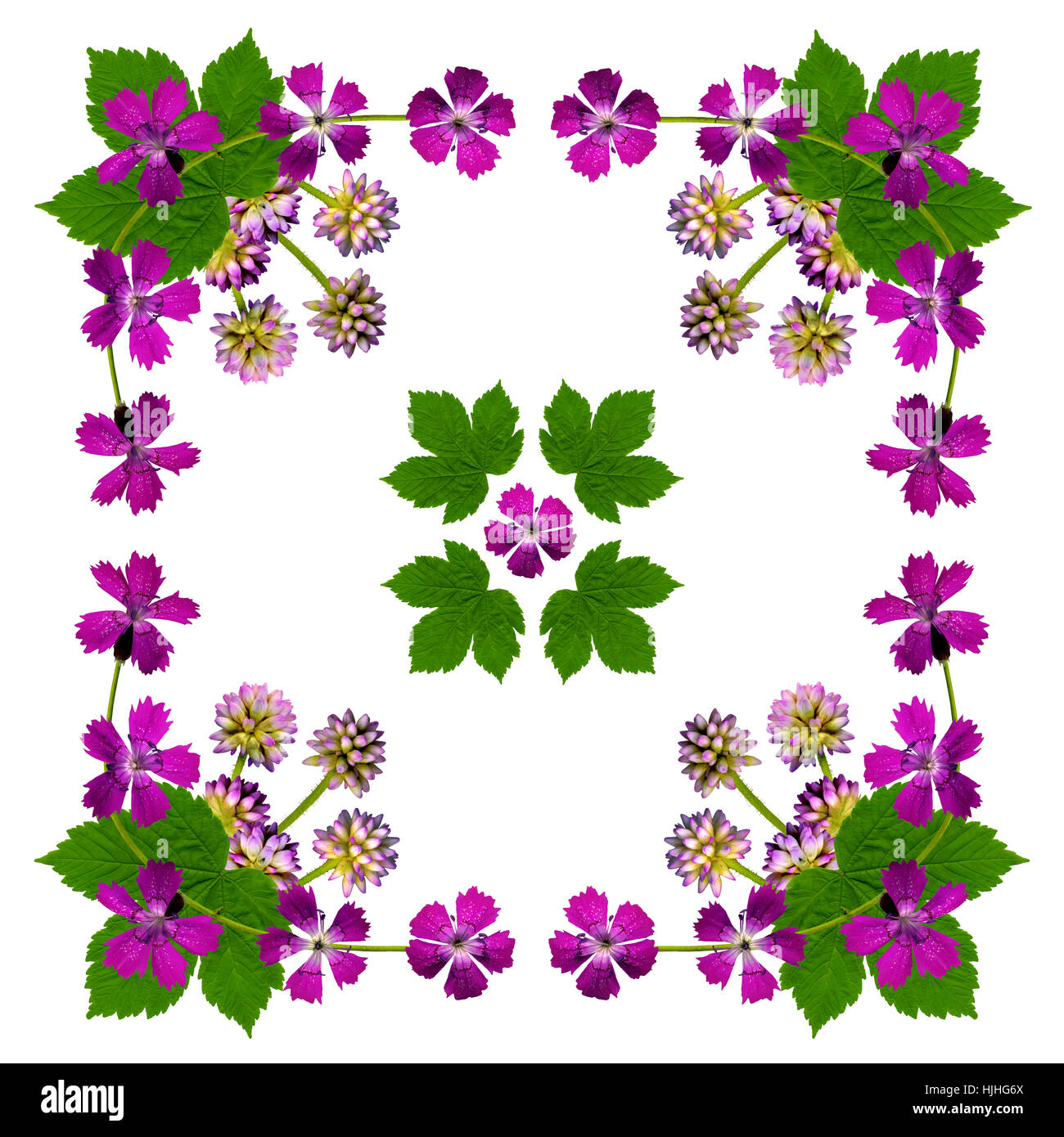 leaves, flower, flowers, plant, corner, napkin, structure, frame ...