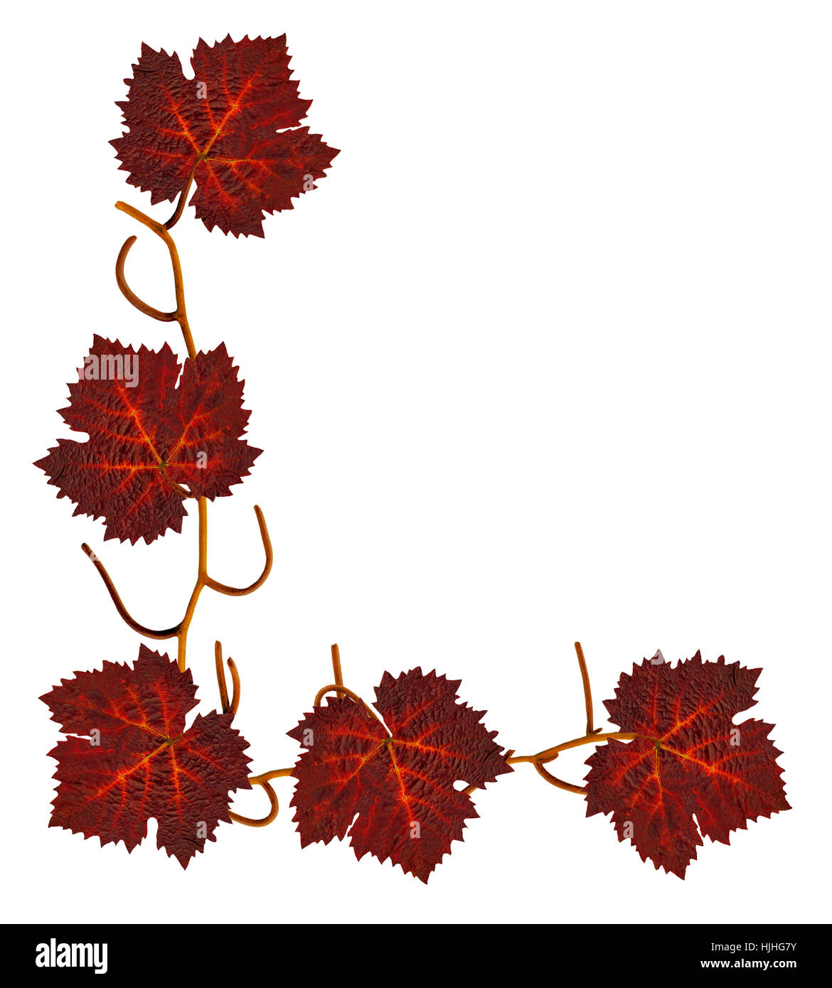 corner with vine leaves Stock Photo - Alamy