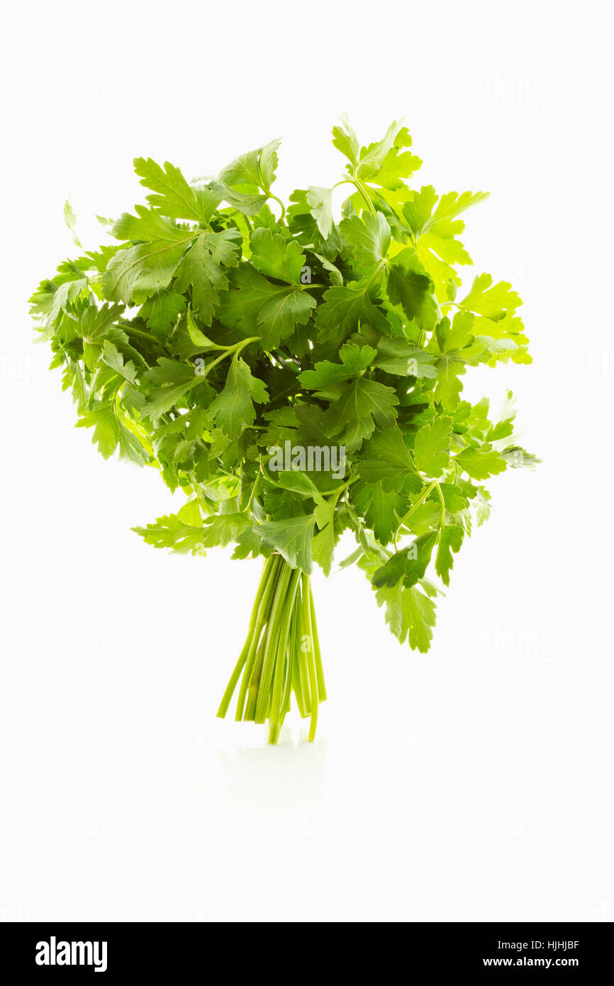 boil, cooks, boiling, cooking, vegetable, parsley, spice, nutrition ...