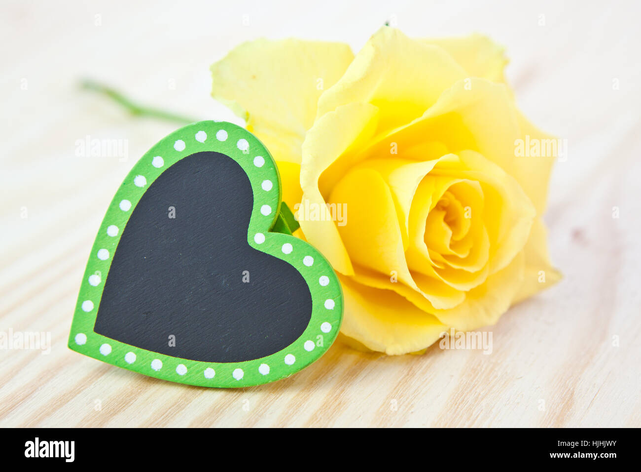 flower, rose, plant, card, congratulation, holiday, flower, rose, plant ...