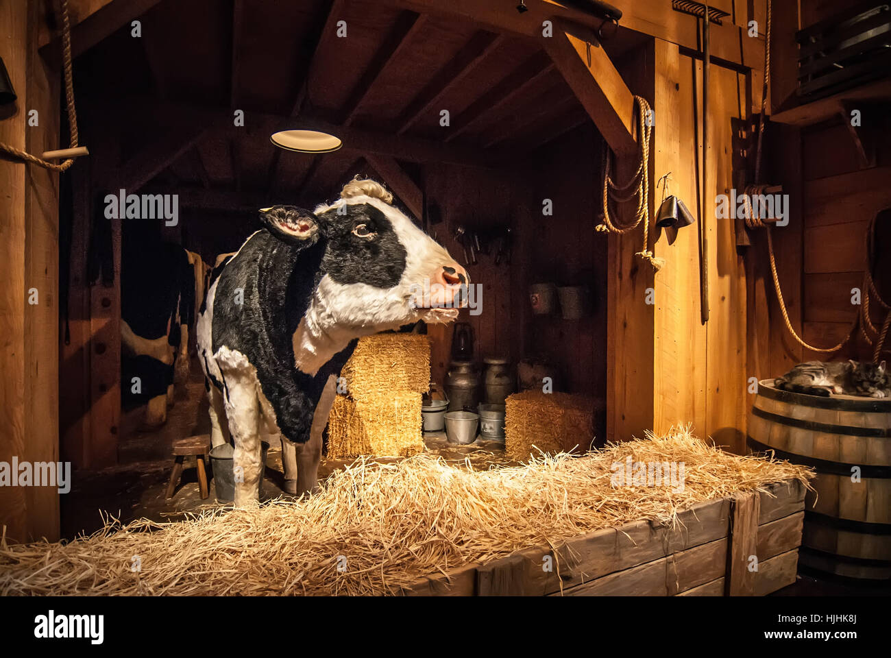 modern, modernity, industry, industrial, animal, bull, agriculture ...