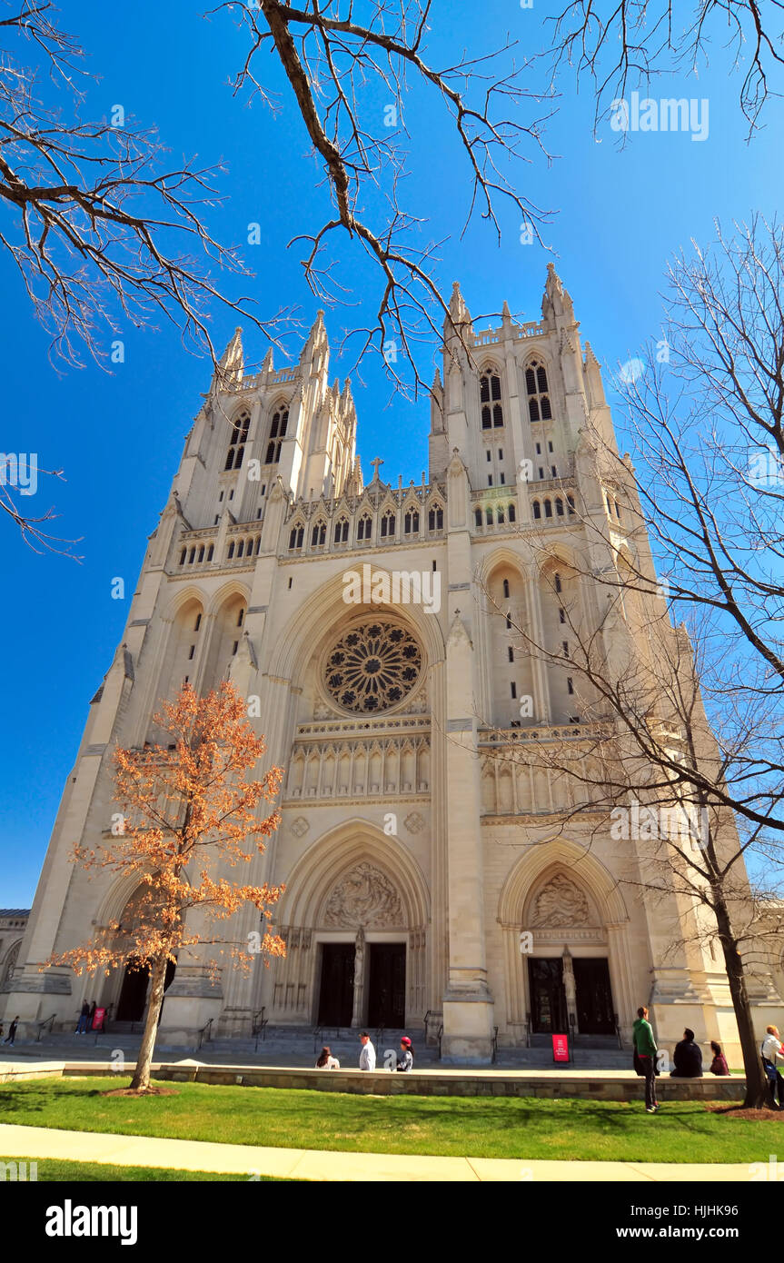 tower, travel, religion, religious, church, god, memorial, tree, trees ...