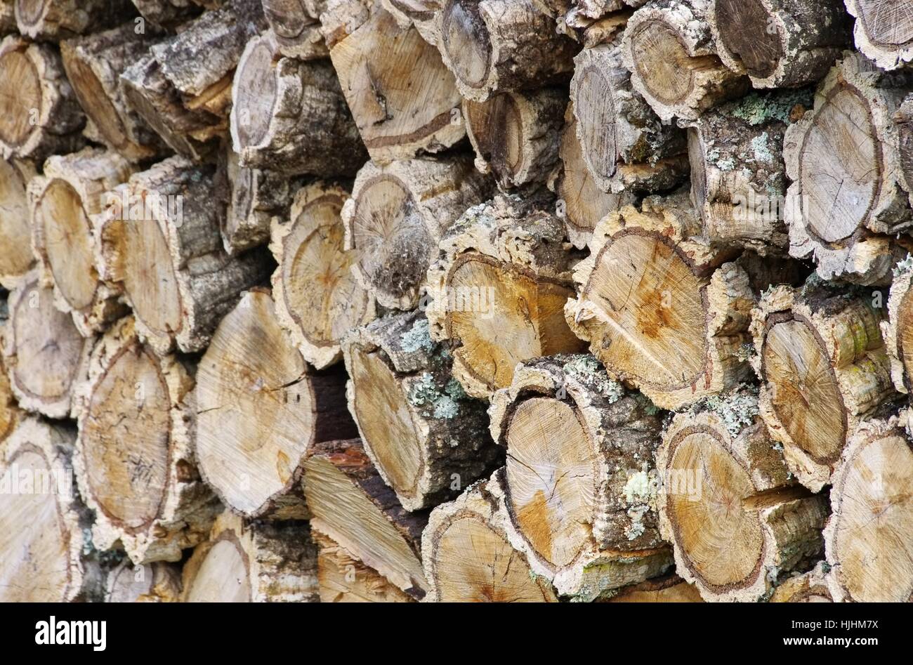 From cork hi-res stock photography and images - Alamy