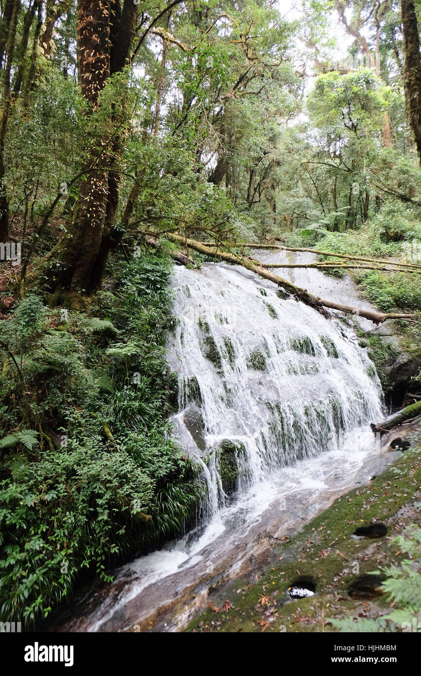 Waterfall in Kew Mae Pan Nature Trail, Doi Inthanon National Park, the ...