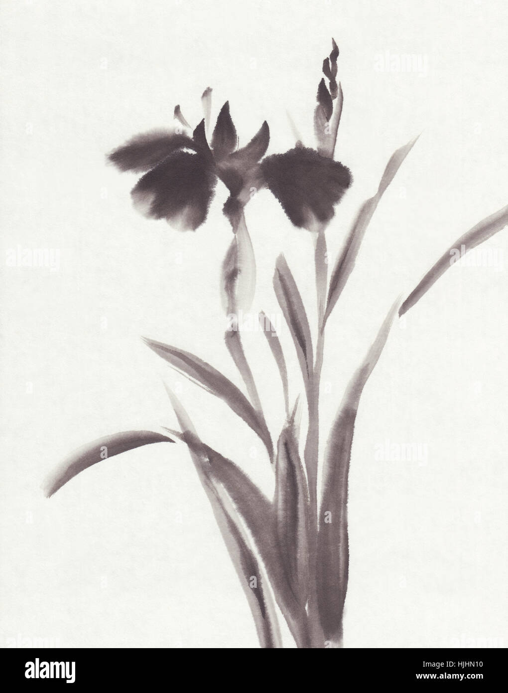 Asian ink drawing hi-res stock photography and images - Alamy